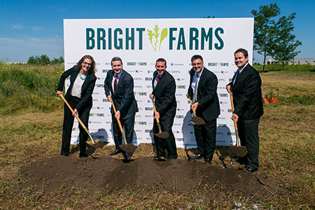 BrightFarms begins construction of $10 million greenhouse - Produce Grower