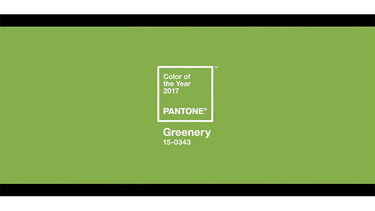 Pantone announces 2017 Color of the Year, and garden centers and ...