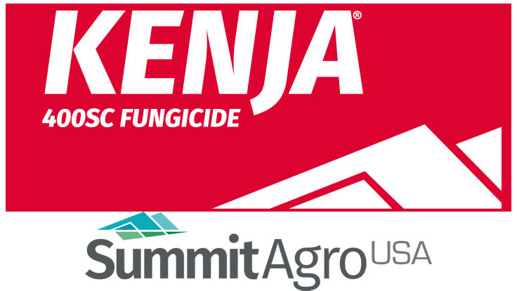 KENJA 400 SC fungicide is now state registered - Produce Grower