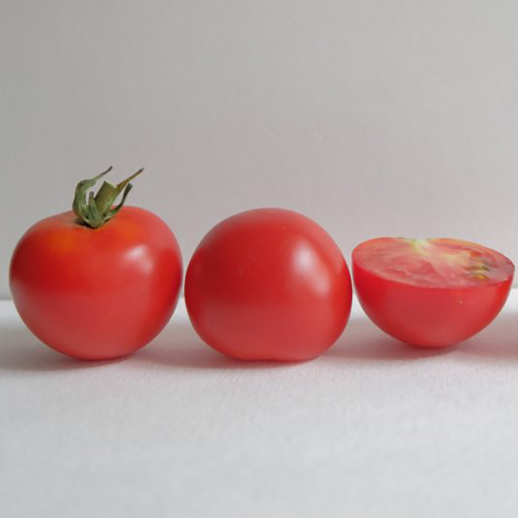 All-America Selections announces three new AAS winners - Produce Grower