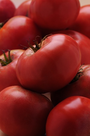 Building a better mass-market tomato - Produce Grower