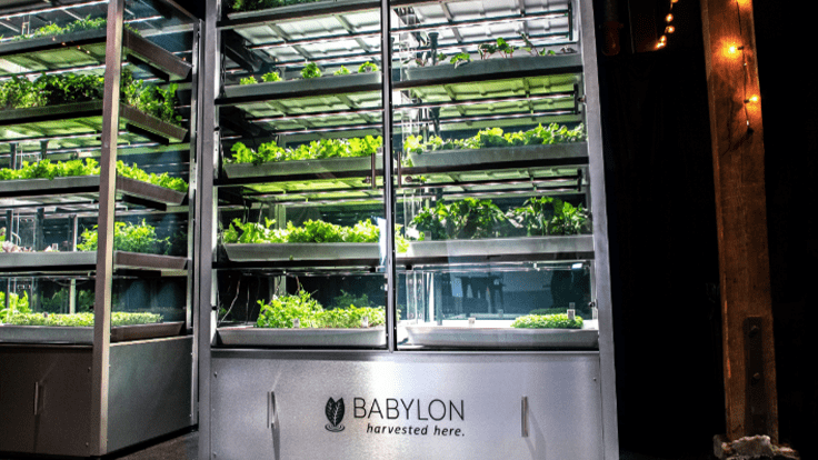 Inside modular farming company, Babylon Micro-Farms - Produce Grower