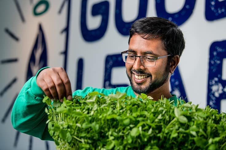 GoodLeaf: Anything but traditional - Produce Grower