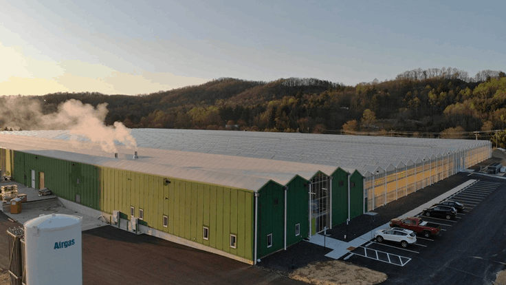 BrightFarms opens farm in North Carolina - Produce Grower