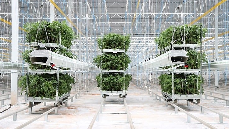 Intergrow scales up in Upstate New York - Produce Grower