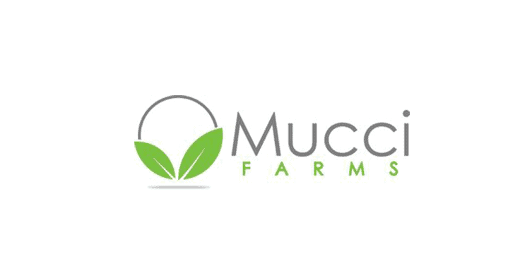 Mucci Farms adds Dan Branson to executive team - Produce Grower