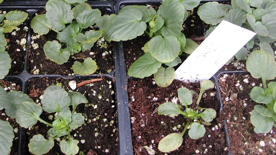 Plant Products opens new facility in Canton, Michigan - Produce Grower