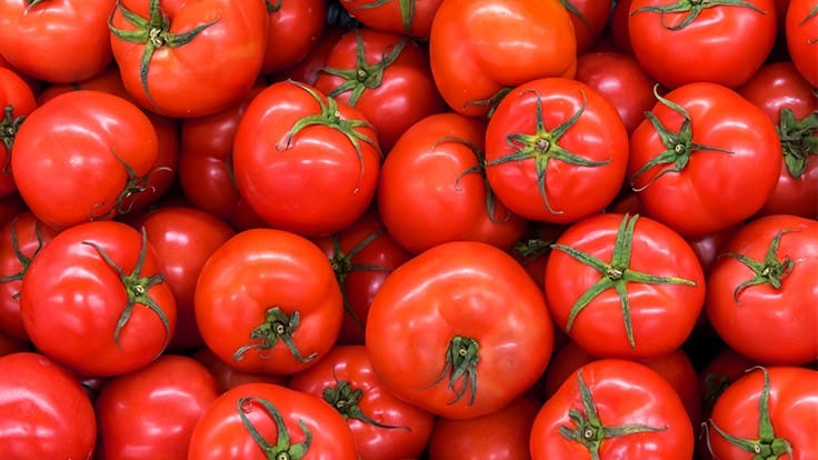 Let’s talk tomatoes - Produce Grower