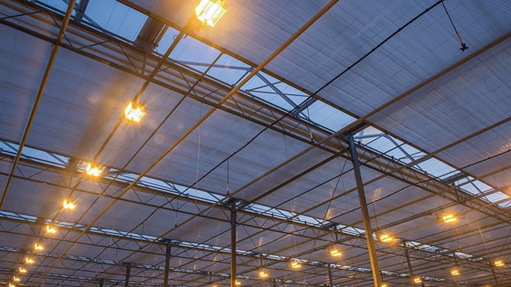 A look at lighting - Produce Grower