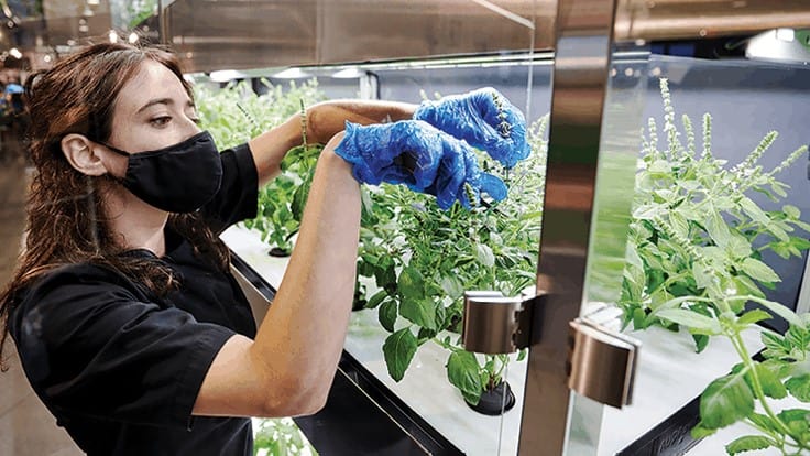 Inside Farm.One’s in-store farm - Produce Grower