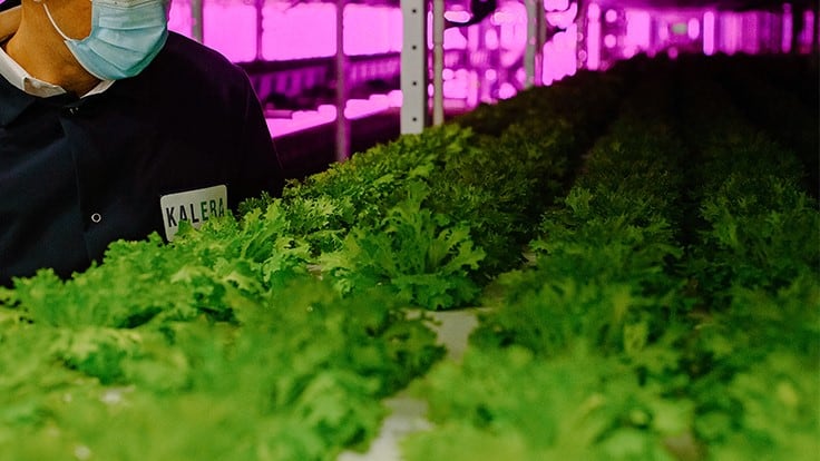 No better time than now - Produce Grower